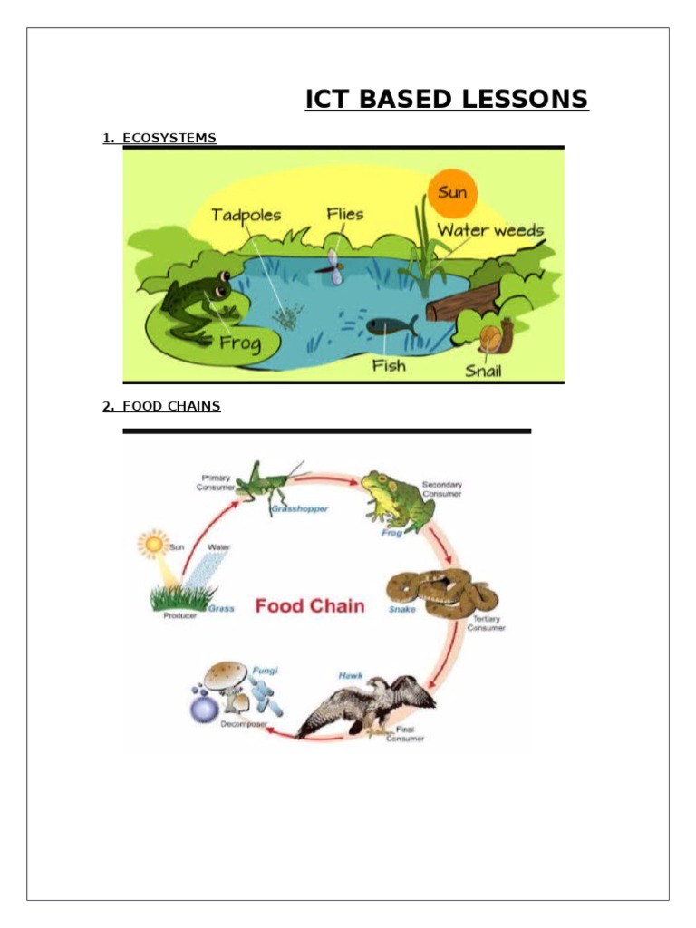 Ict Based Lessons | PDF | Science & Mathematics | Technology & Engineering