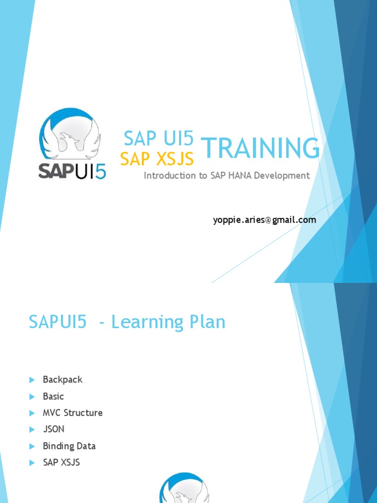 Training UI5 | PDF | Java Script | Html