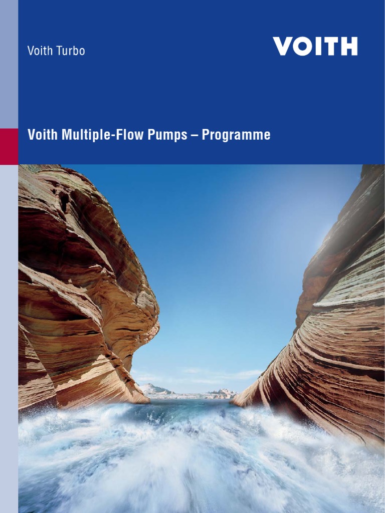 Voith Pump PDF | PDF | Pump | Gear