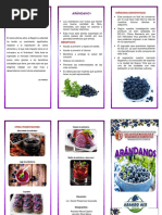 TRIPTICO Mermelada de Aguaymanto | PDF | Comida y bebida | Especialidades Medicas