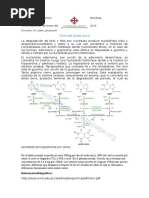 Medio de Transporte Stuart en Microbiología | PDF | Patologia clinica ...
