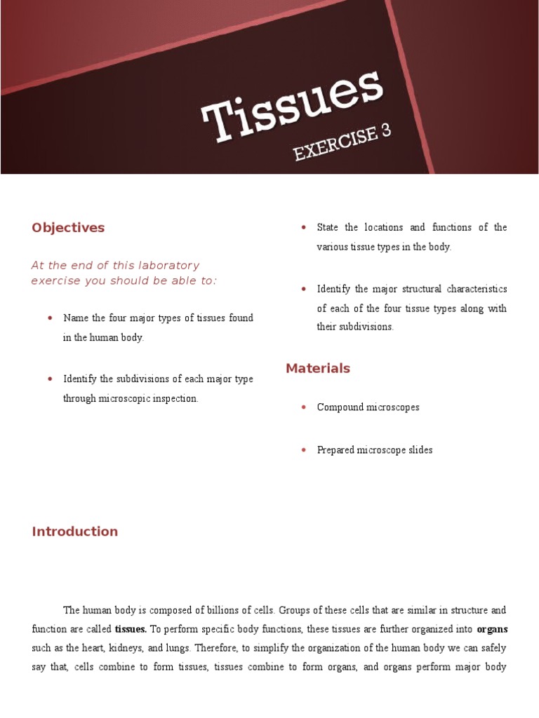 BIOL111 Lab 3 Tissues | PDF | Epithelium | Tissue (Biology)