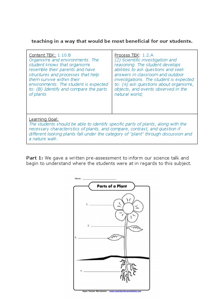 Science Pre-Assessment | PDF | Scientific Method | Cognitive Science