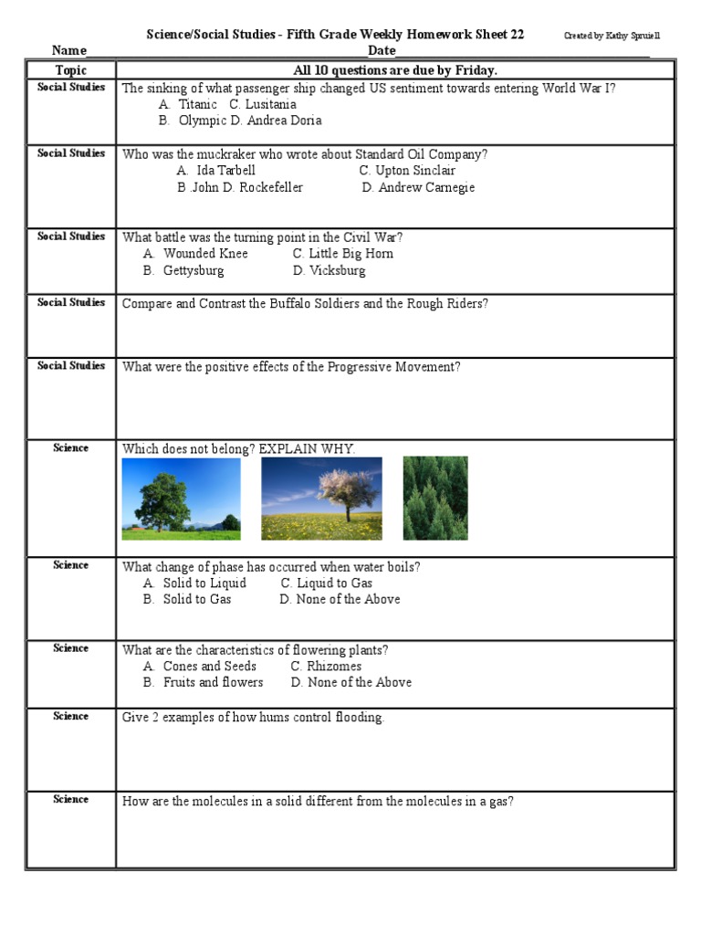 5th Grade Weekly Homework Sheet 22 | PDF | Social Science