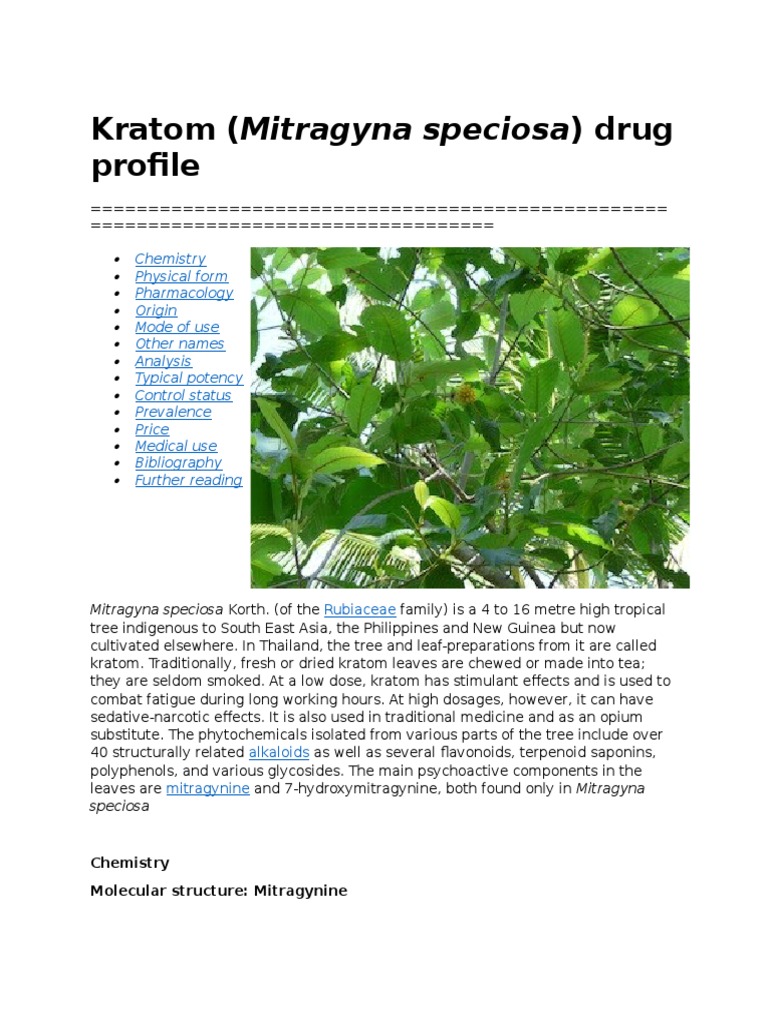Kratom (Mitragyna Speciosa) Drug Profile | PDF | Drugs Acting On The ...