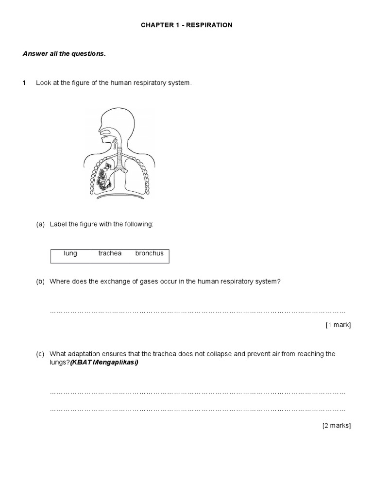 c1 Respiration | PDF | Breathing | Exhalation