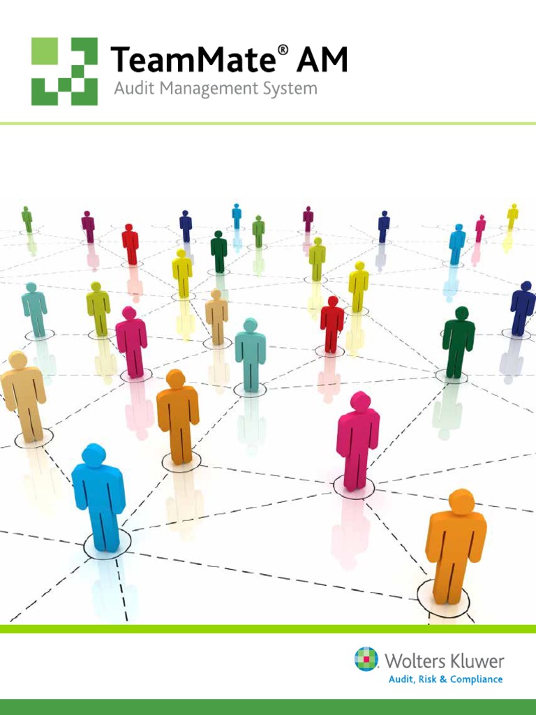 ARC 13 2903 TeamMate AM Overview Brochure (WEB) | PDF | Audit ...