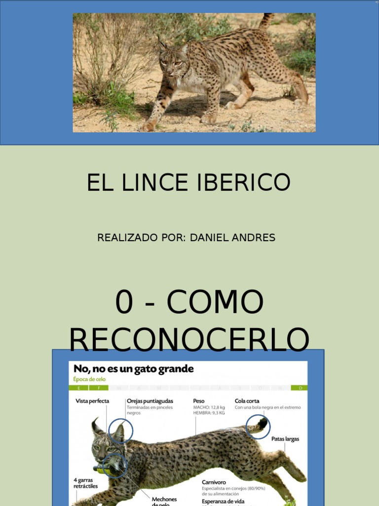 El Lince Iberico | PDF | Cocina, comidas y vino | Salud y bienestar