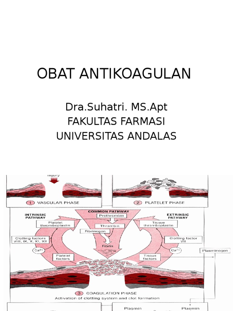 Fungsi dan Penggunaan Antikoagulan | PDF