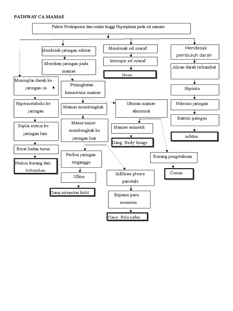 Pathway Kanker Payudara dan Patofisiologi | PDF