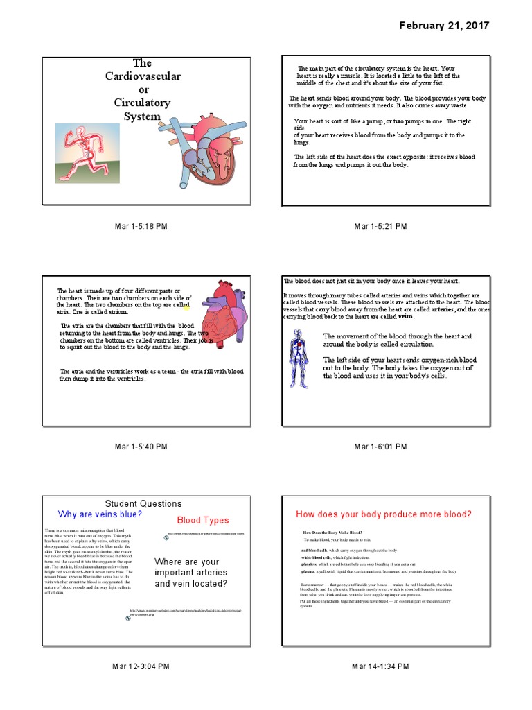 Heart | PDF | Heart | Circulatory System
