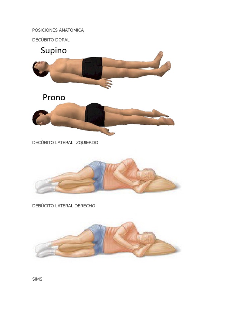 Posiciones Anatómica | PDF