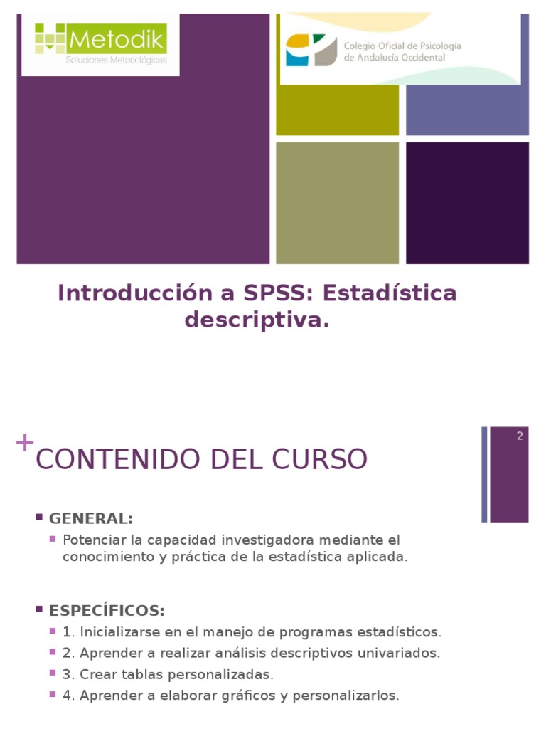 CURSO 1 - Introducción SPSS | PDF | Spss | Microsoft Excel
