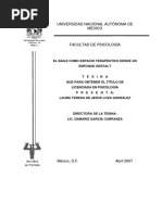 Líneas de Terminación | PDF | Dentadura postiza | Diente