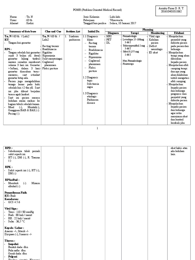 POMR 2 Parkinson | PDF