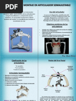 Anatomía de La Arcada Superior e Inferior de Un Paciente Edéntulo | PDF ...