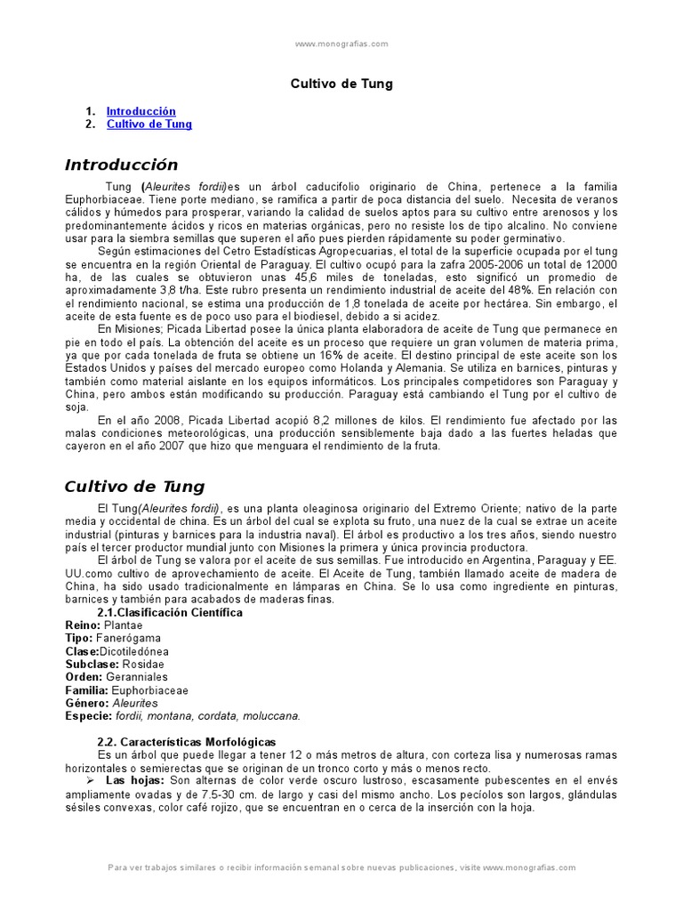Cultivo y características del árbol de Tung (Aleurites fordii), una ...