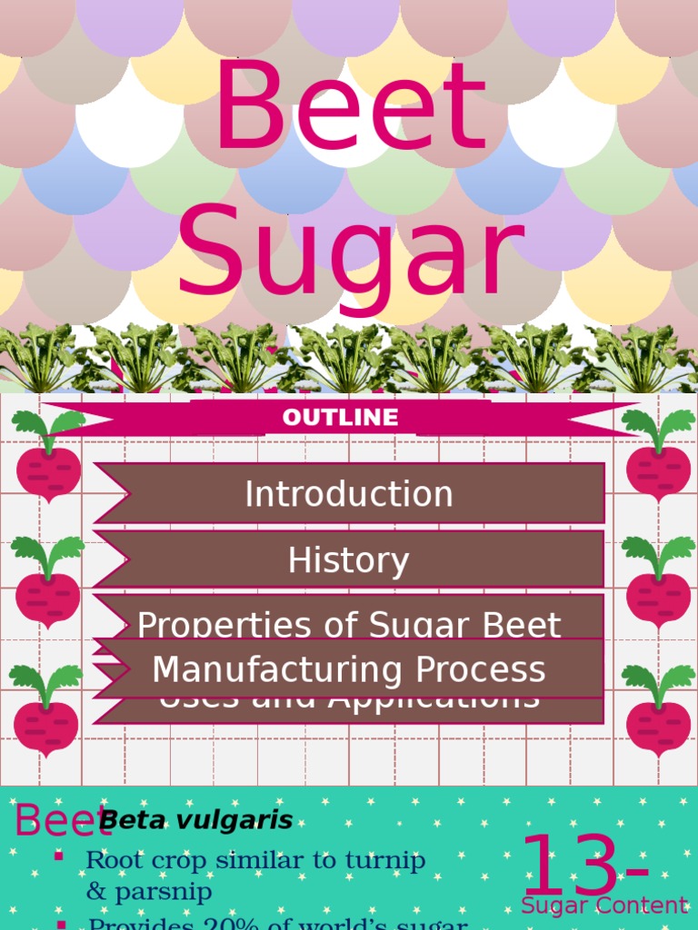 Beet Sugar | PDF | Sugar Beet | Foods