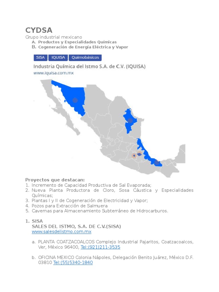 Resumen Cydsa | PDF