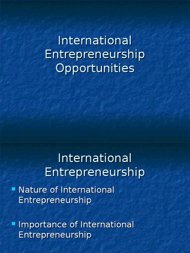 International Entrepreneurship Opportunities | PDF