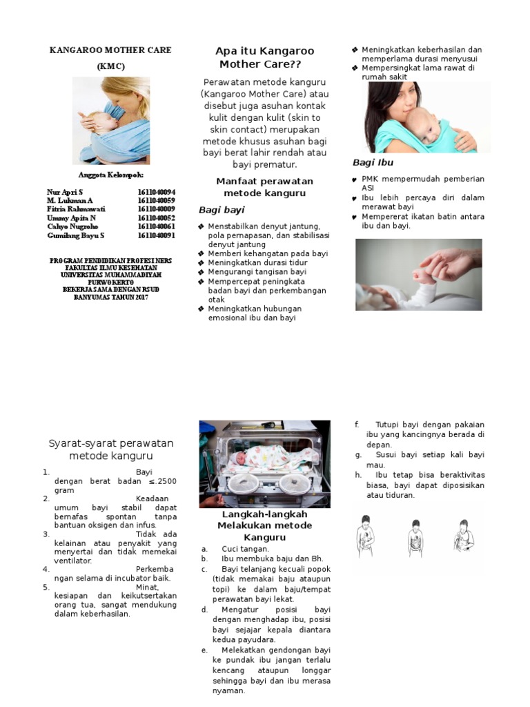 Leaflet Perina 2 | PDF