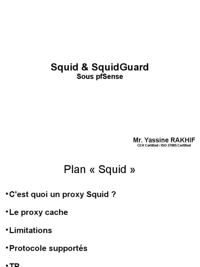 Squid Et GuardSquid | PDF | Serveur proxy | Serveur (Informatique)