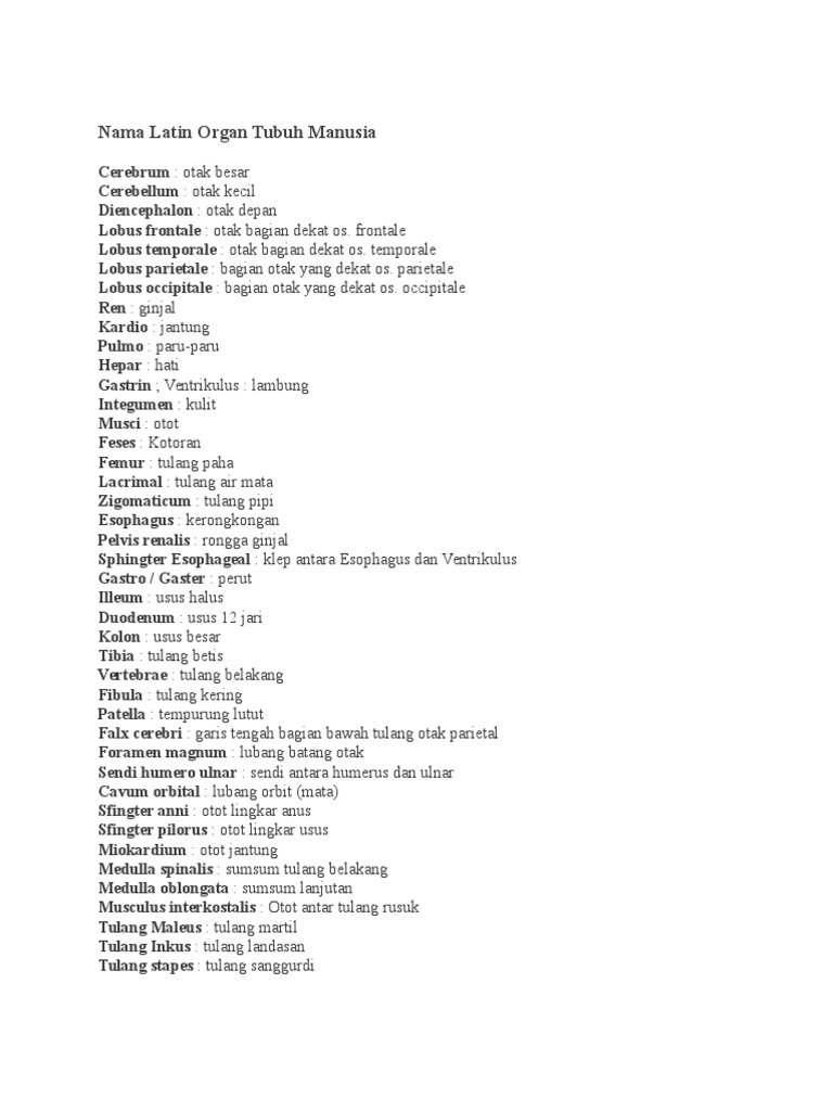 Nama Latin Organ Tubuh Manusia | PDF