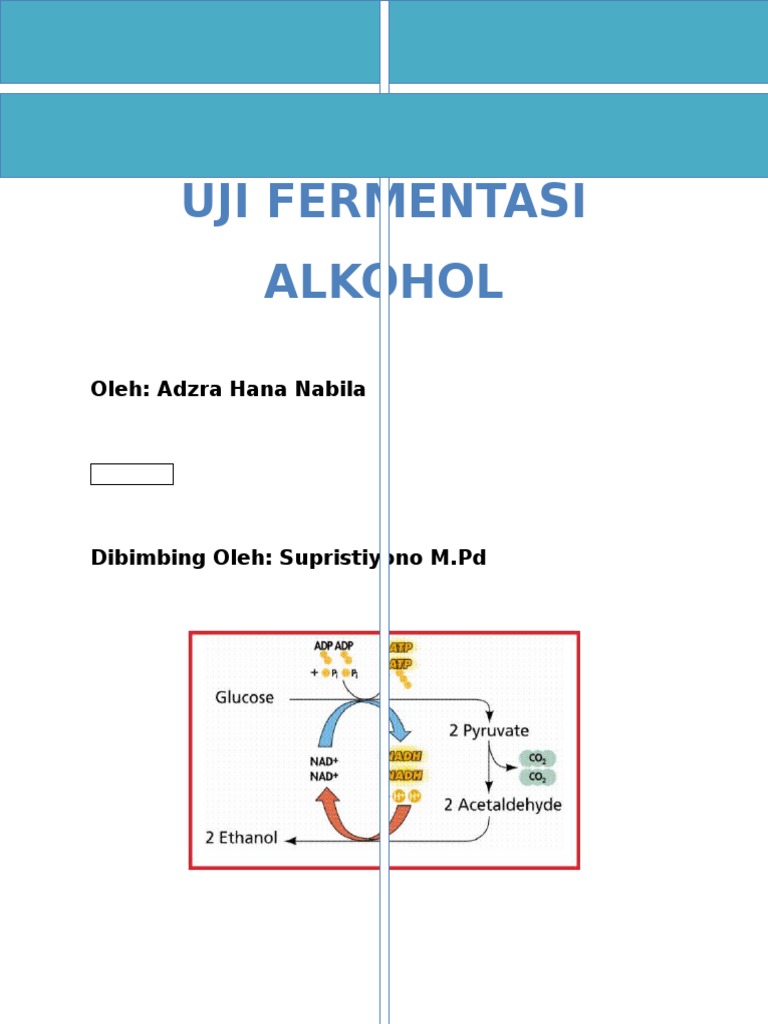 Makalah Fermentasi Alkohol | PDF