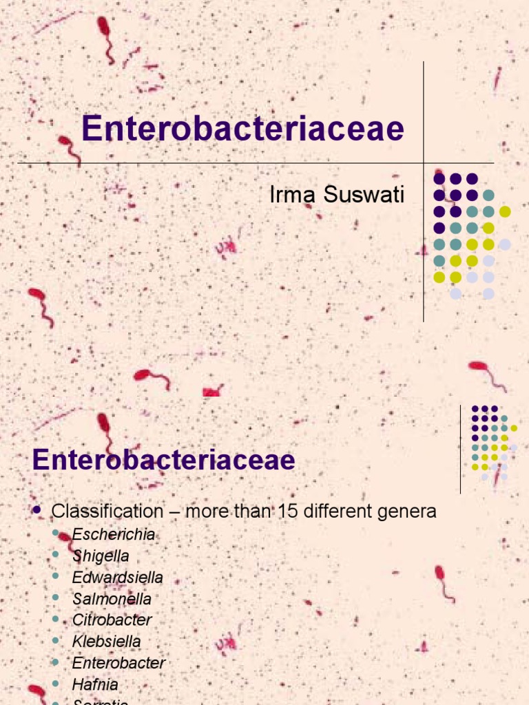 Enterobacteriaceae | PDF | Escherichia coli | Lipopolisakarida