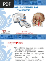 Protocolo Serie Osea o Huesos Largos | PDF | Hueso | Radiología