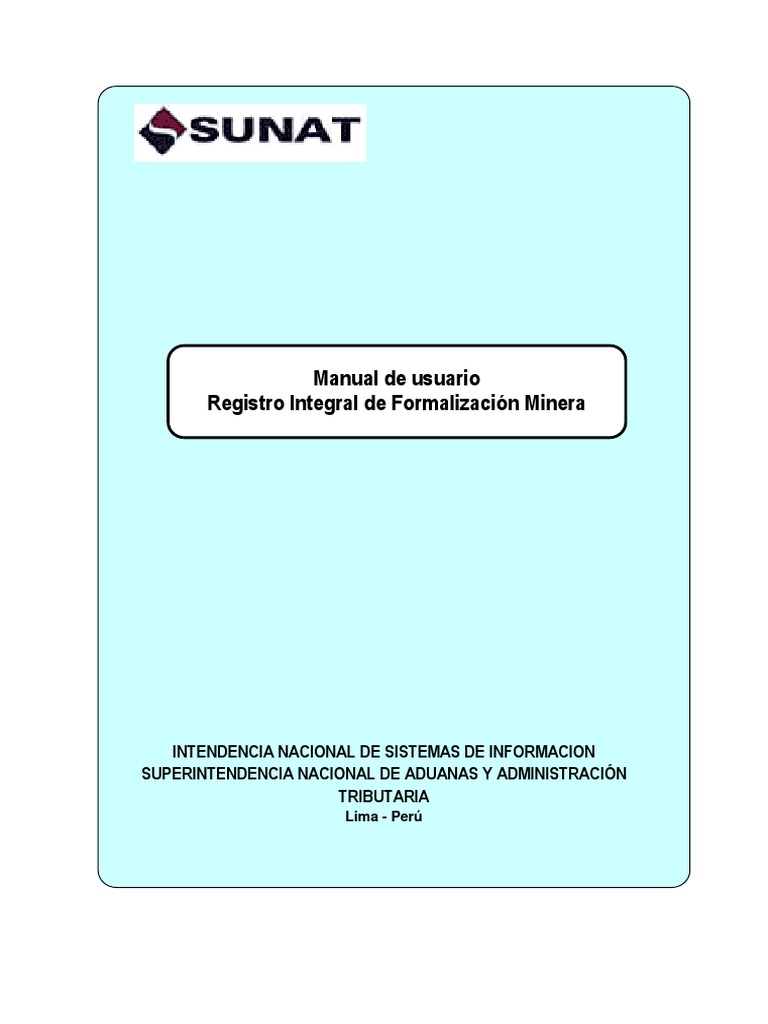 Manual Reinfo Sunat | PDF | Correo electrónico | Software
