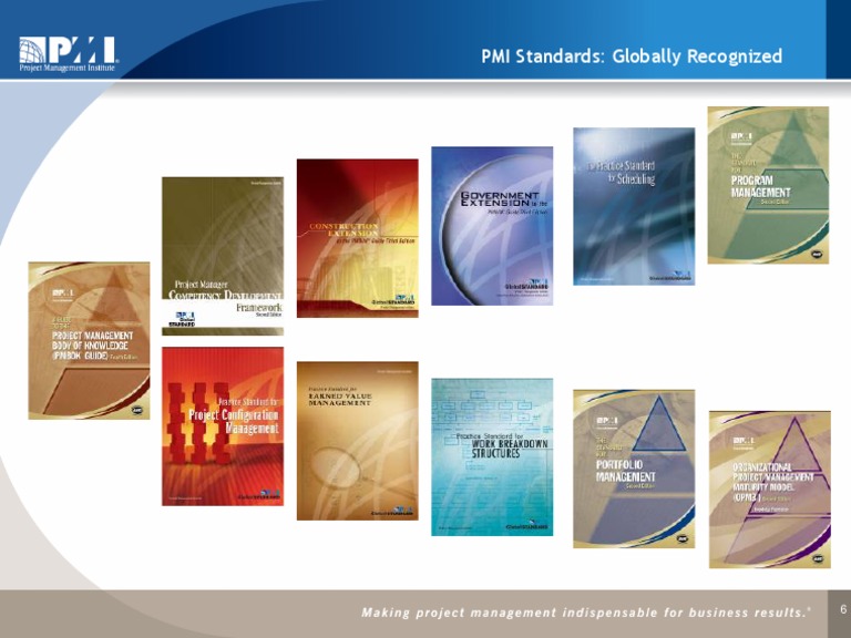PMI Standards: Globally Recognized | PDF