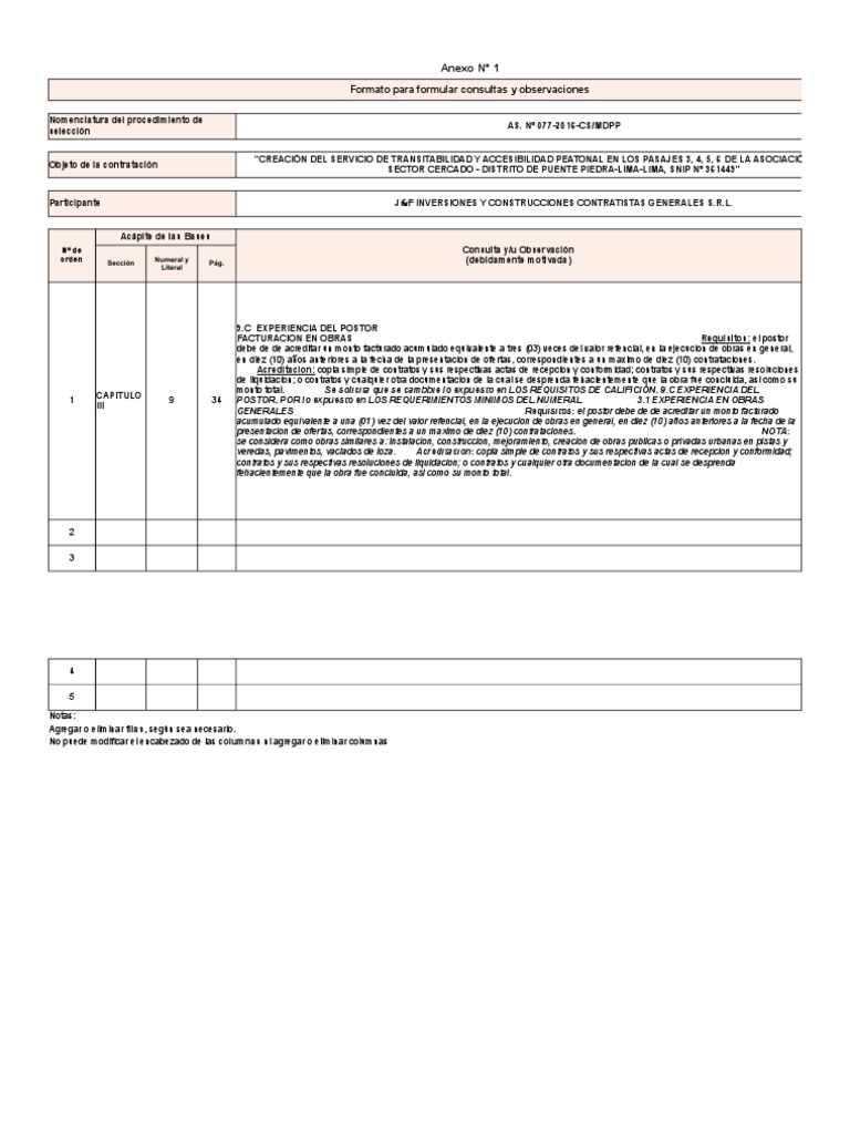 Formato de Consultas y Observaciones | PDF | Business