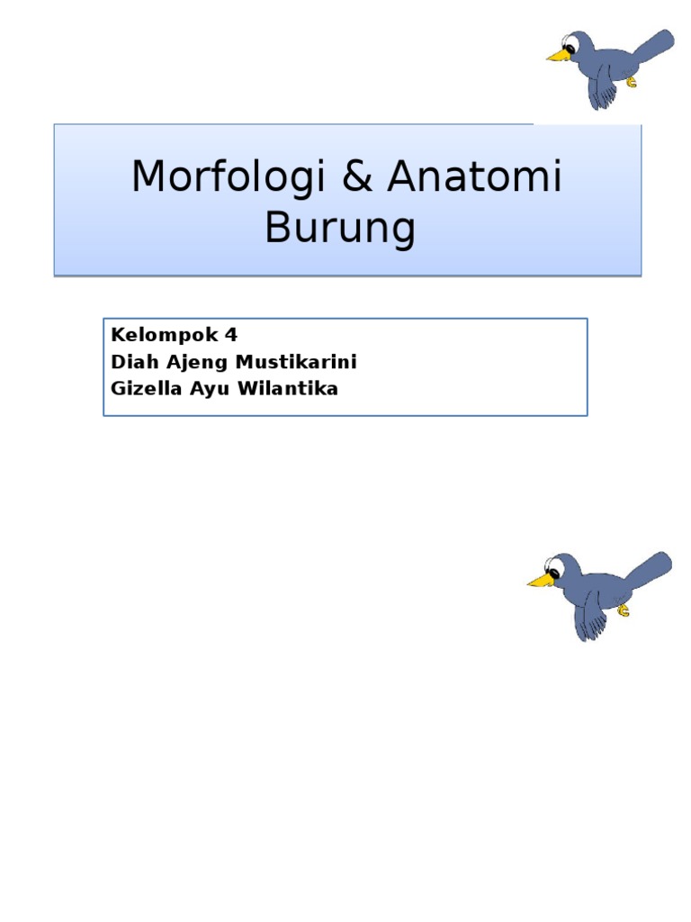 Anatomi dan Morfologi Burung | PDF