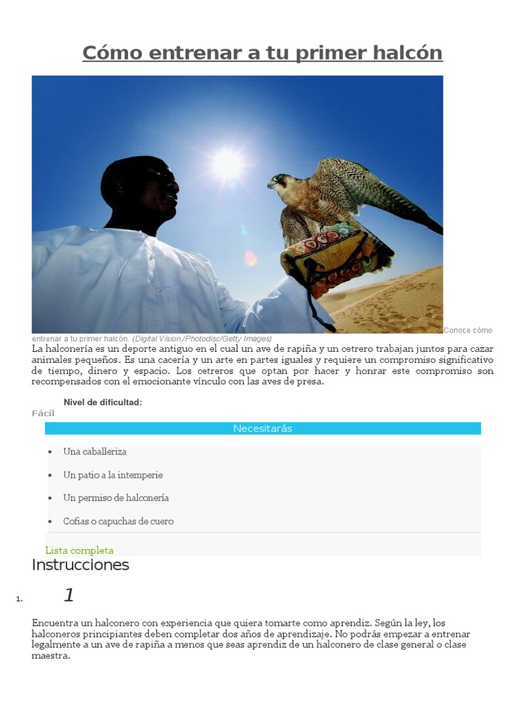 Cómo Entrenar A Tu Primer Halcón | PDF | Aves | Tetrápodos