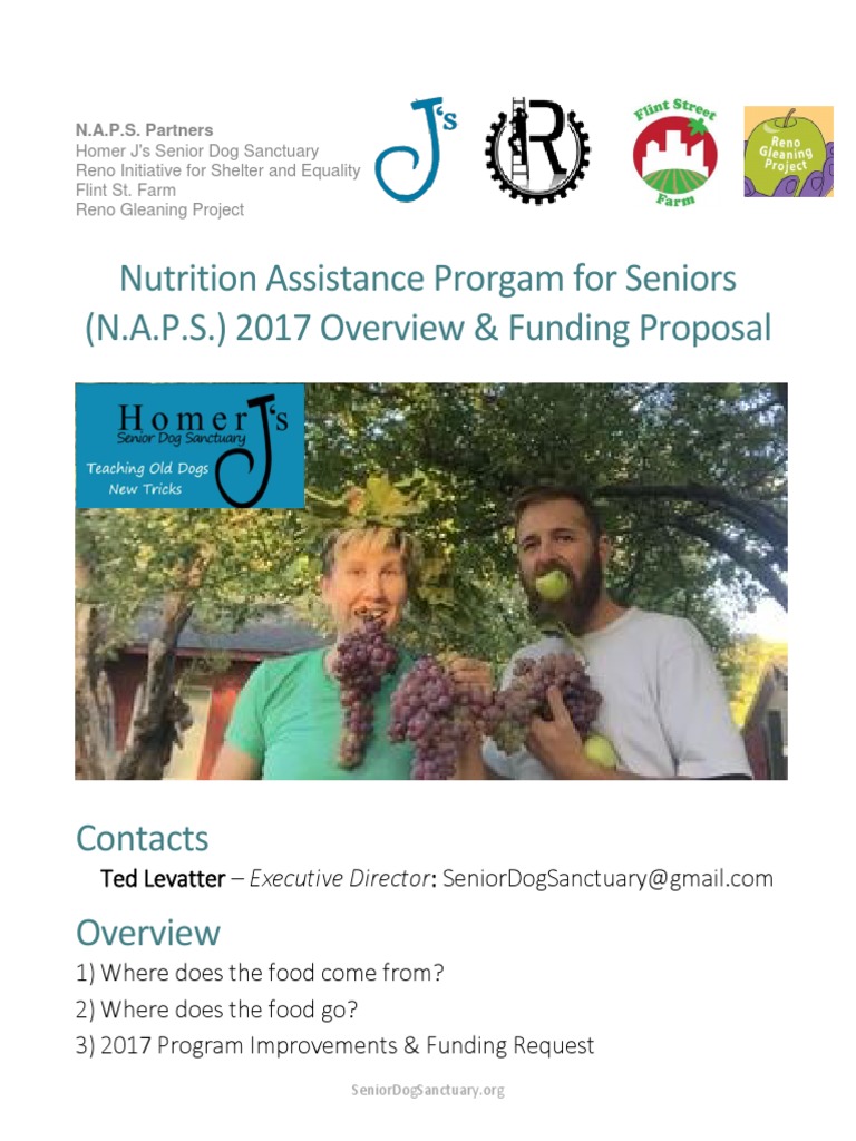 Homerj Nap | PDF