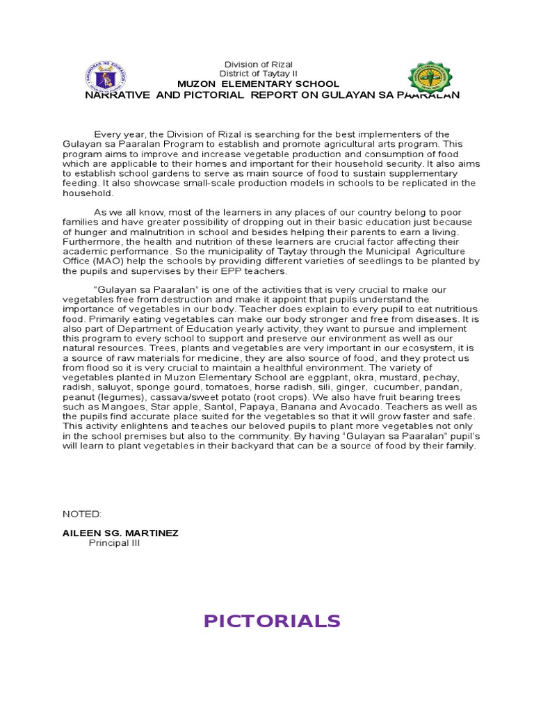 Narrative and Pictorial Report On Gulayan Sa Paaralan | Vegetables | Foods
