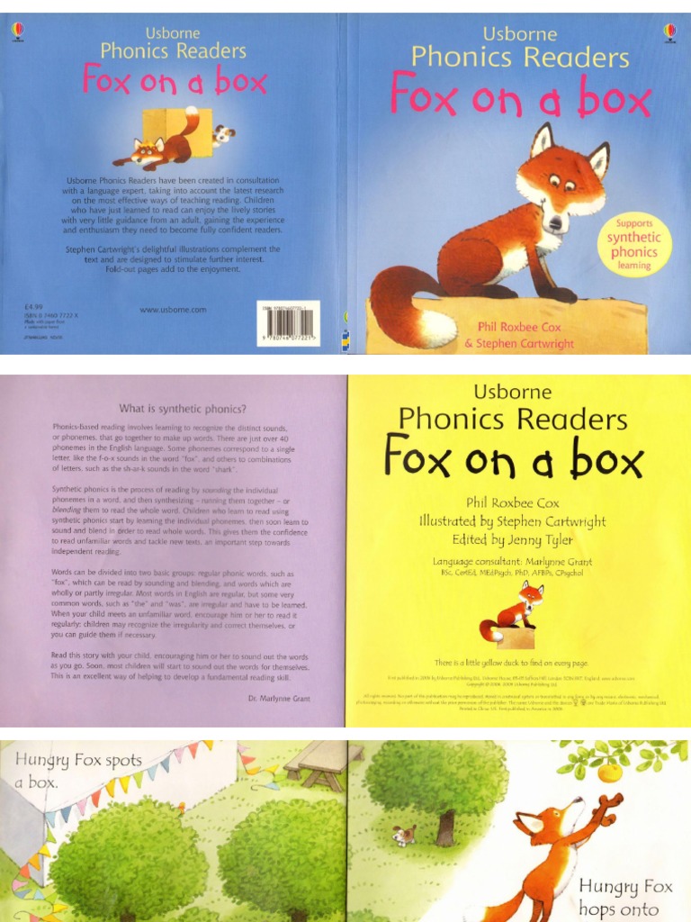fox on a box