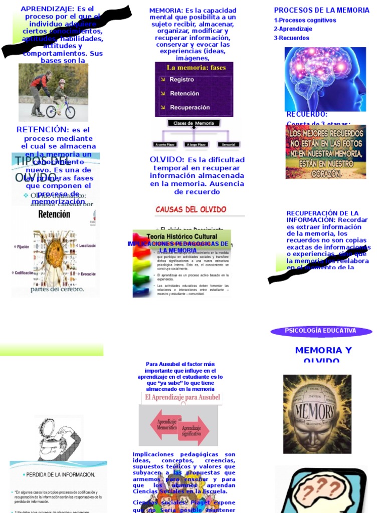 Memoria y Olvido (Triptico) | Memoria | Aprendizaje
