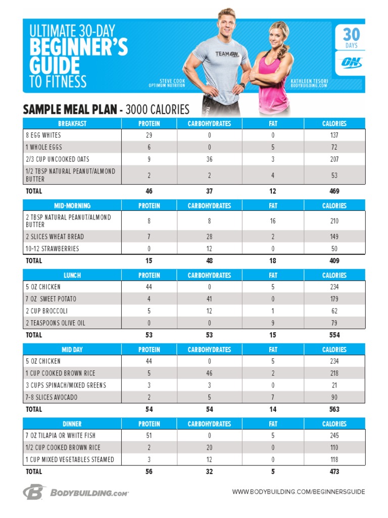 30 Day Beginner Guide 3000 Meal Plan PDF | PDF | Food And Drink | Cuisine