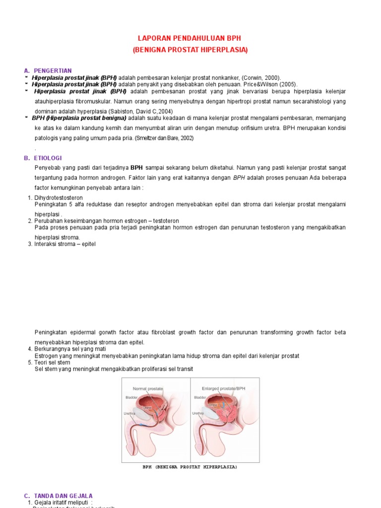 LP BPH | PDF | Kesehatan Holistik | Sains & Matematika