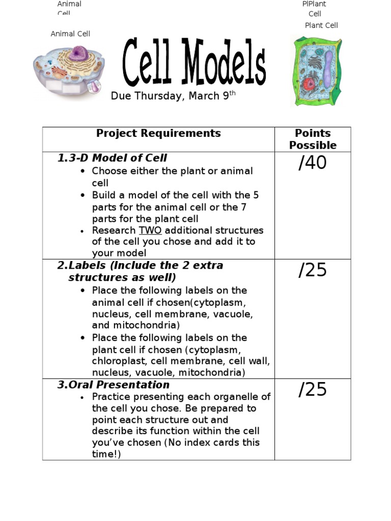 Cellproject Apple 2014 Gradesheet | PDF | Cytoplasm | Cell (Biology)