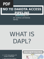 DAPL Factsheet | PDF