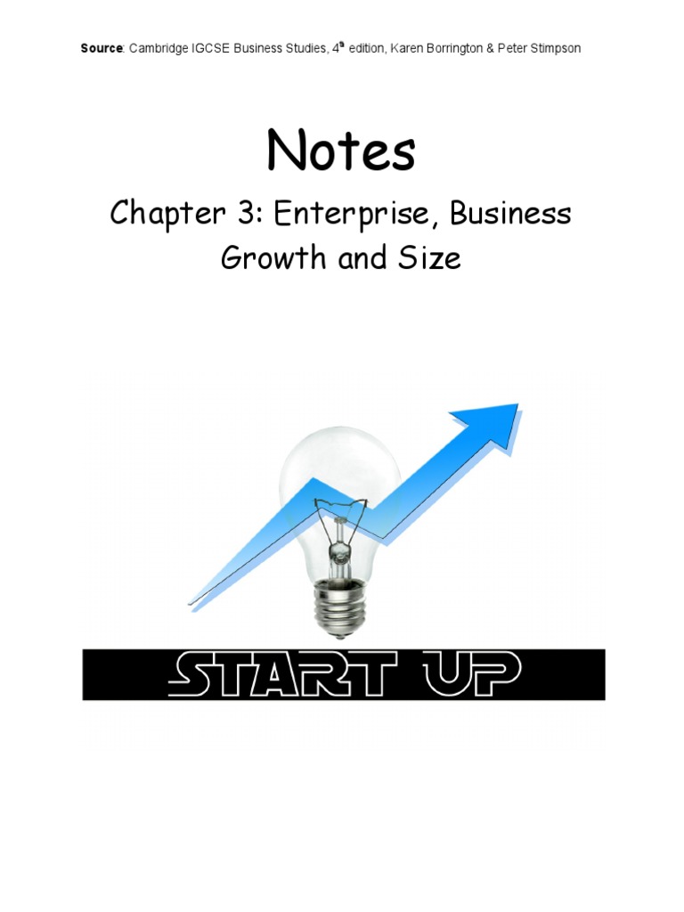 Chapter 3 Enterprise, Business Growth and Size PDF | PDF ...