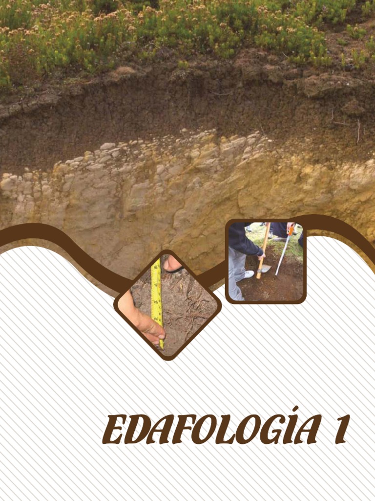Edafologia | Descargar gratis PDF | Suelo | Minerales