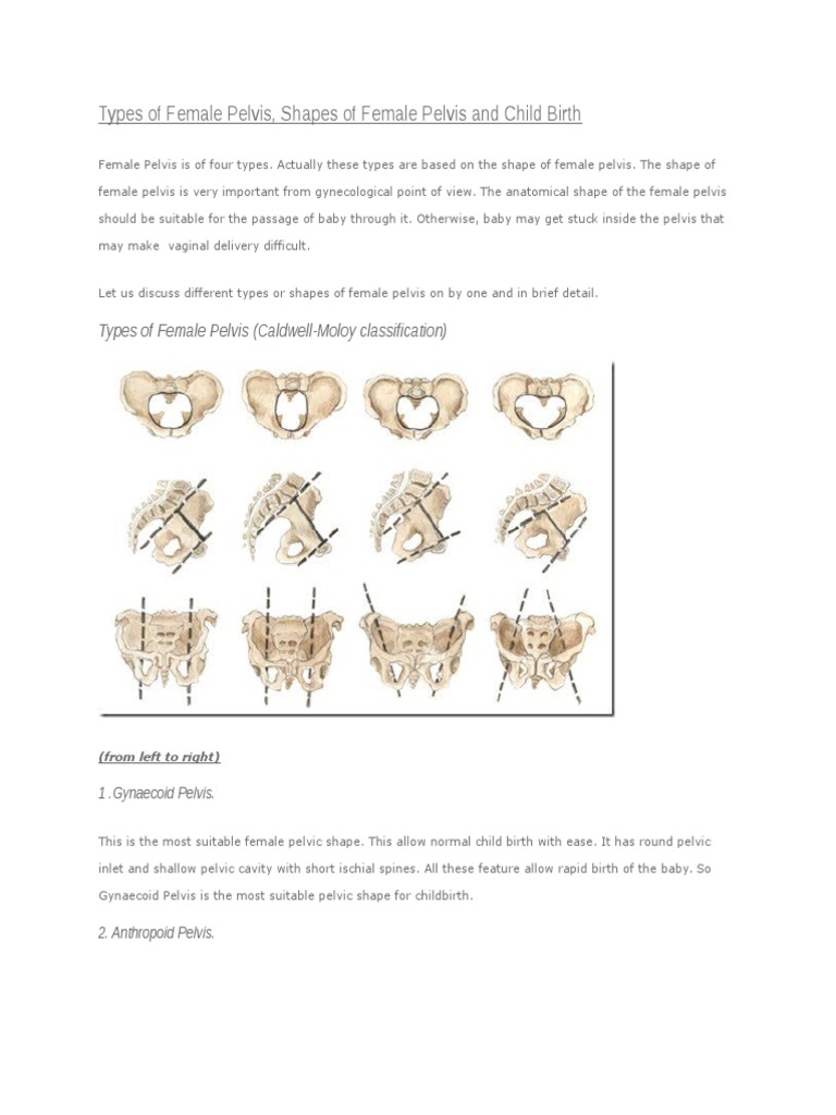 Types of Female Pelvis | PDF | Pelvis | Childbirth