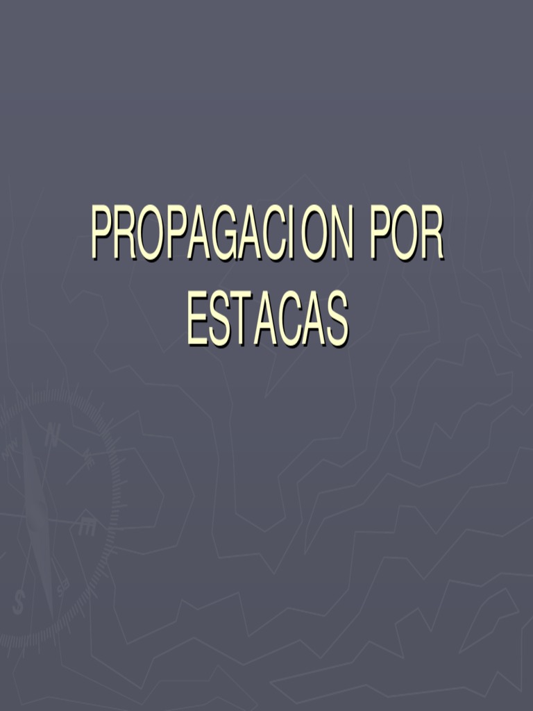 Pp. Estacas PDF | PDF