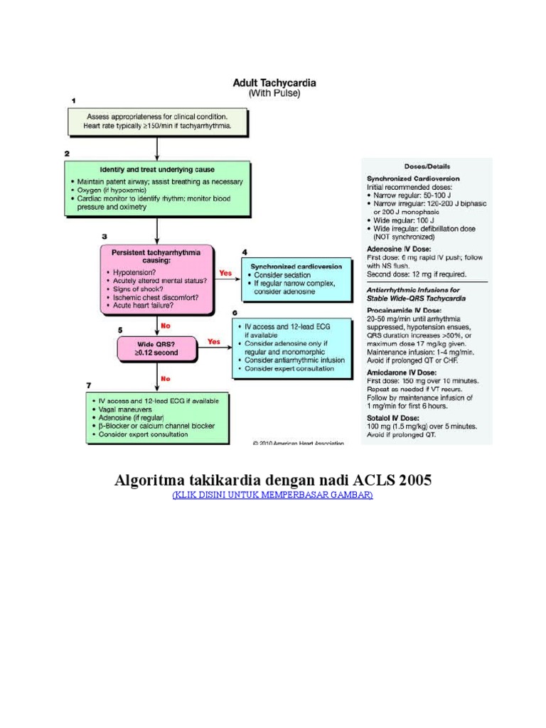 Algoritma Takikardia Dengan Nadi ACLS 2005 | PDF