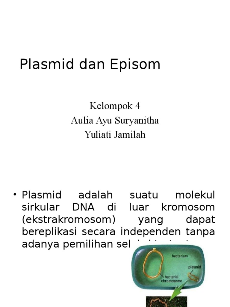 Plasmid Dan Episom | PDF | Sains & Matematika