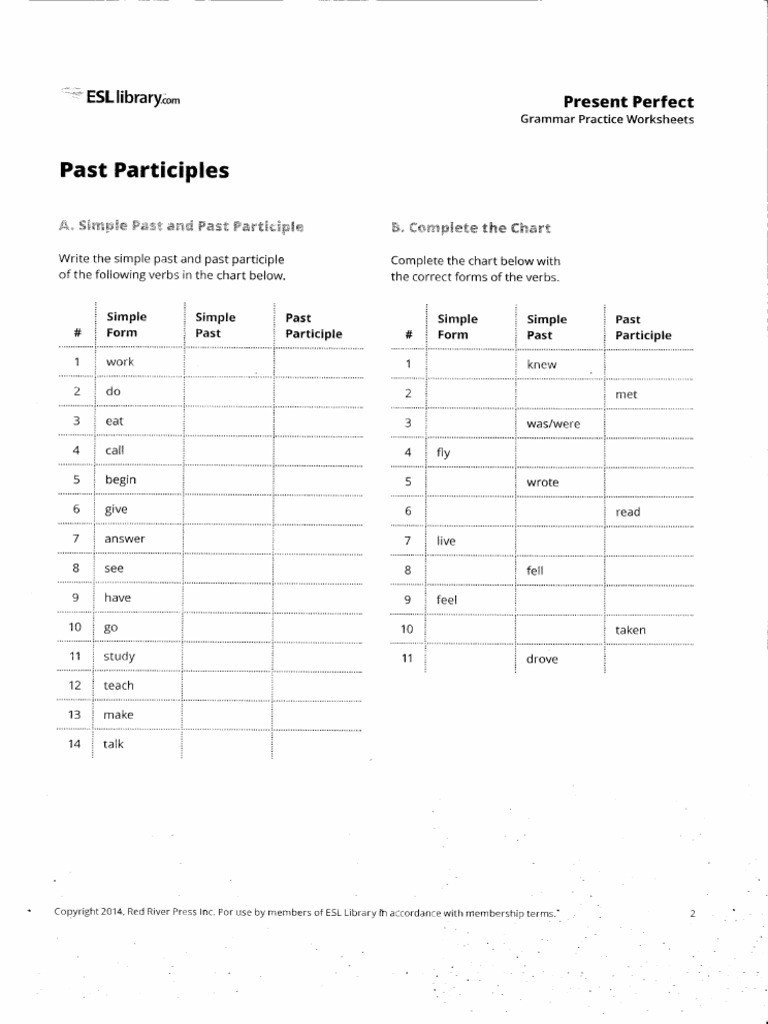 Present Perfect Activities | PDF